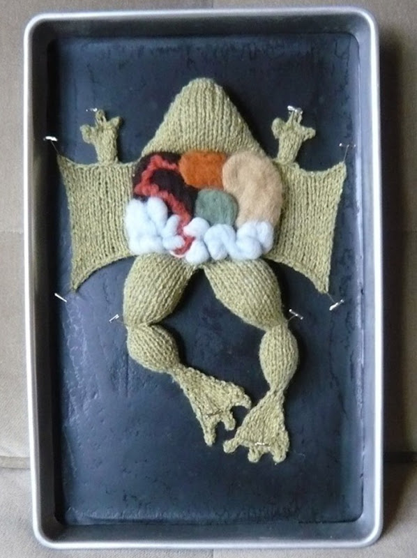 Amusing Planet: Knitted Dissection: Biology Meets Art